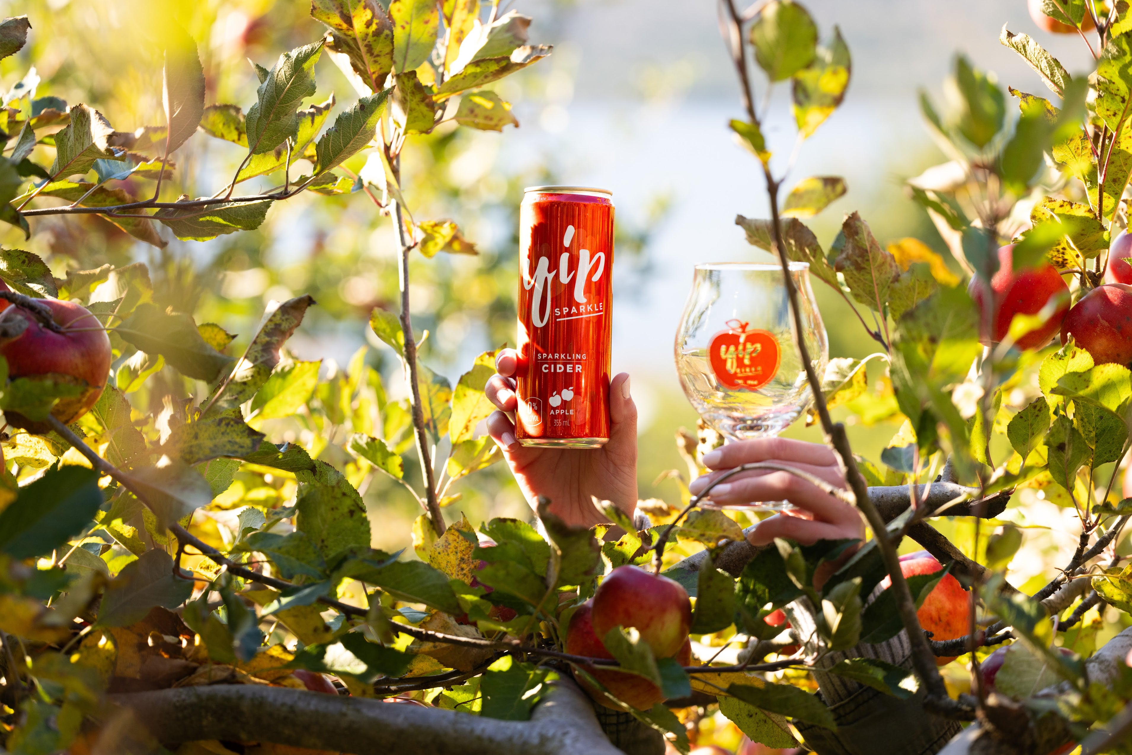 Home – Yip Cider